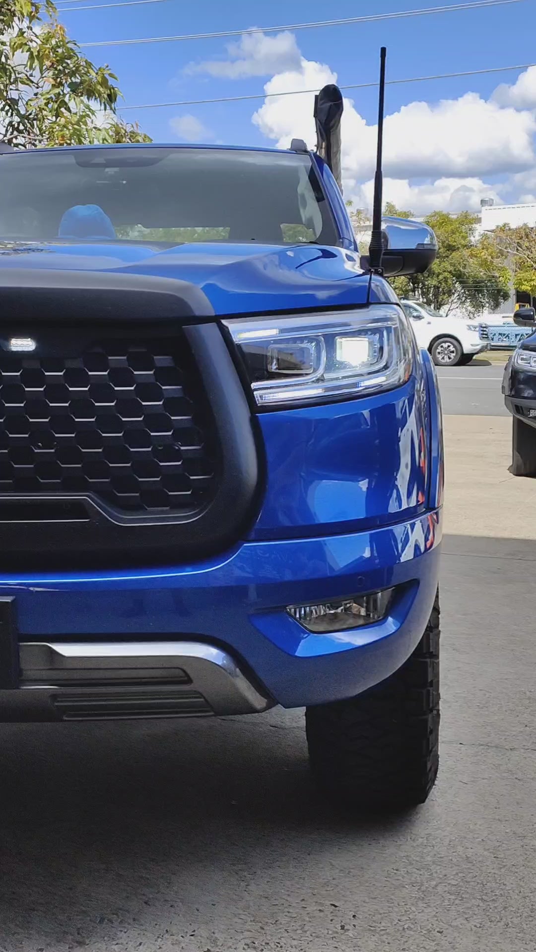 GWM CANNON INSECT HONEYCOMB GRILL – Savage Tech Australia